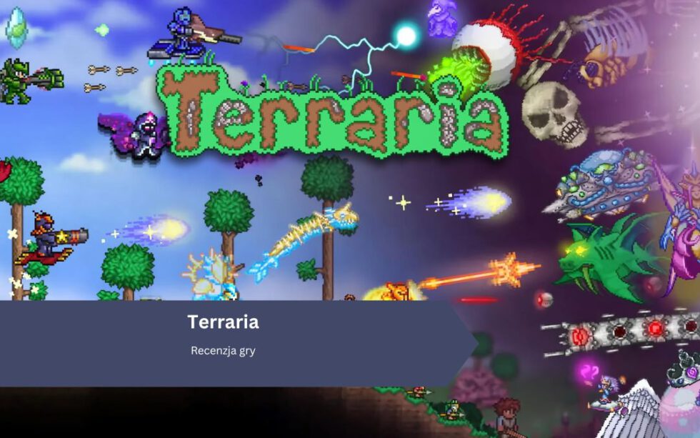 Terraria (Wiki) - Lista Poradników po Polsku, Tipsy, Sekrety i Buildy - Desercik.pl