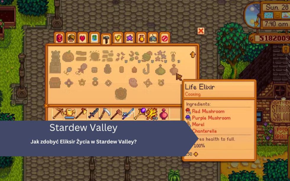 Stardew Valley poradnik - wskazówki, strategie, opis rozgrywki ...
